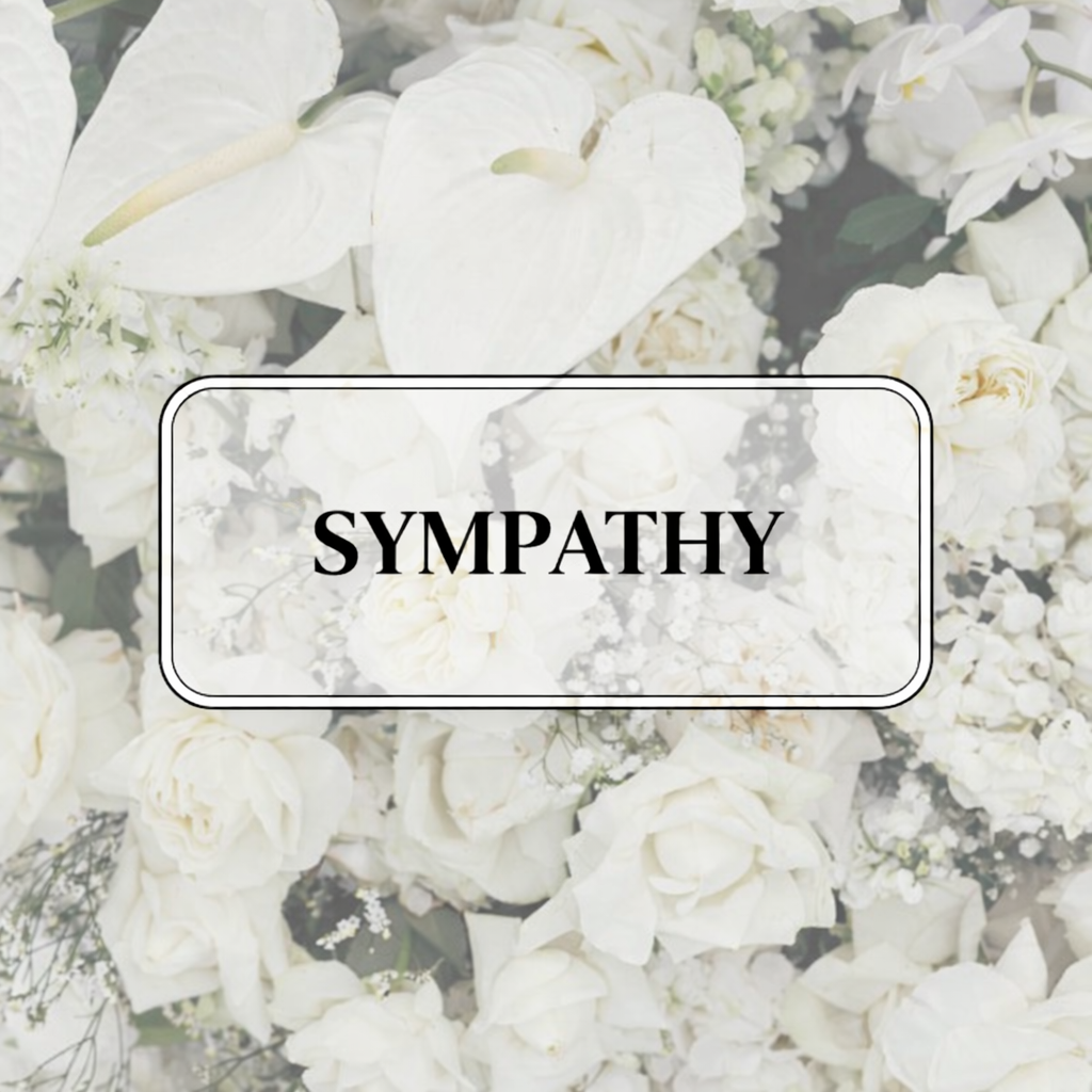 Sympathy – LOVE LAUGH